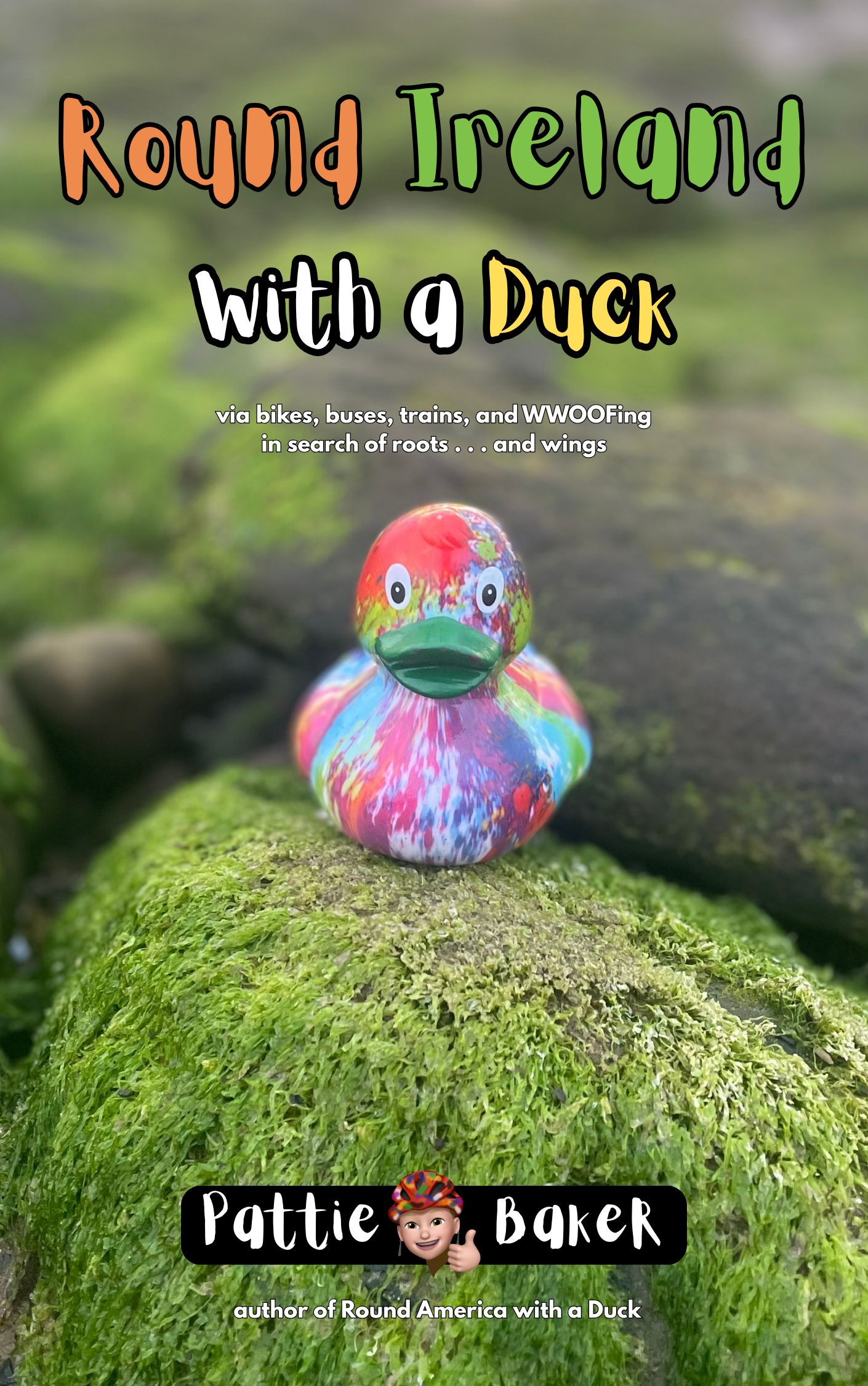 Ireland – Round America with a Duck